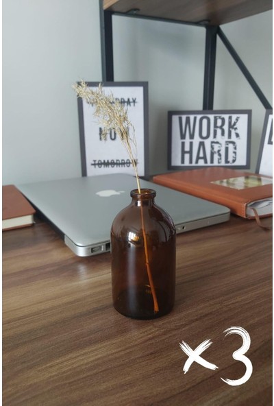Lofty Amber Cam Şişe Vazo 100 ml - 10CM Ortam Dekor 3 Adet Lofty Amber Cam Şişe Vazo 100 ml - 10CM Ortam Dekor 3 Adet