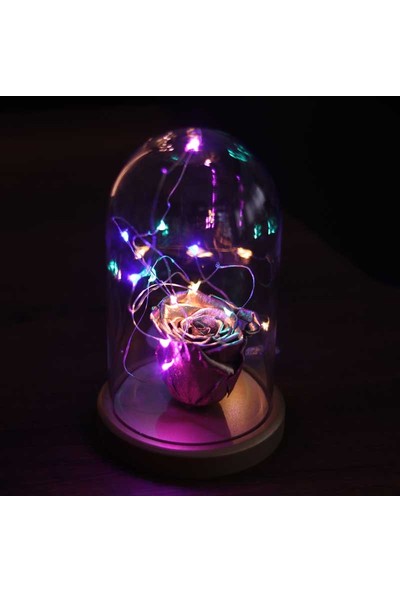 By-Lamp Işıklı Cam Fanus Gold Solmayan Gül Lamba Renkli LED By-Lamp Işıklı Cam Fanus Gold Solmayan Gül Lamba Renkli LED