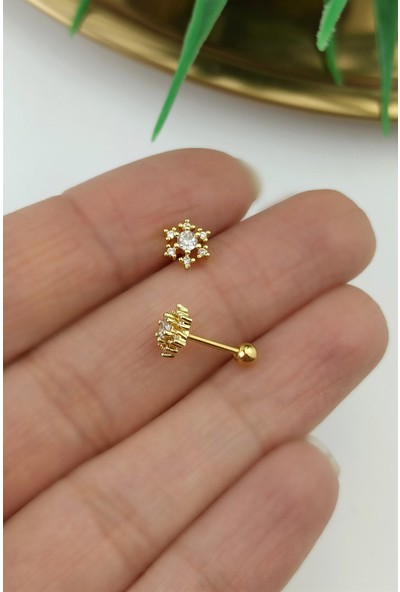 ÇLK Accessories 316 Cerrahi Çelik Küçük Kartanesi Piercing TRPIERCING0128