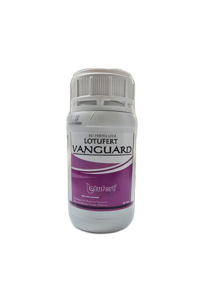 Lotus Lotufert Vanguard (500 Cc) Lotus Lotufert Vanguard (500 Cc)