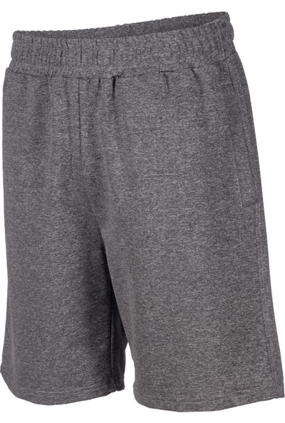 AS00761992 101079390 SN95 Basic Pes 2fx Kinetix Erkek Penye Şort Gri