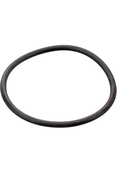 Febı 10 Ad. O-Rıng (Audı