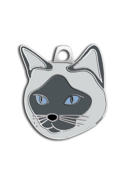 See Me Gri Kül Rengi Siyam Kedisi Künyesi See Me Gri Kül Rengi Siyam Kedisi Künyesi