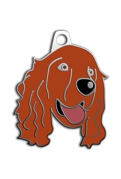 See Me Cocker Köpek Künyesi See Me Cocker Köpek Künyesi