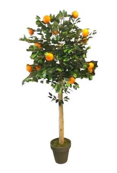 Botanik Bahçesi Yapay Mandalina Ağacı1.70 mt Boy Turunç Meyve Ağacıgerçek Dokudoğal Görünüm Botanik Bahçesi Yapay Mandalina Ağacı1.70 mt Boy Turunç Meyve Ağacıgerçek Dokudoğal Görünüm