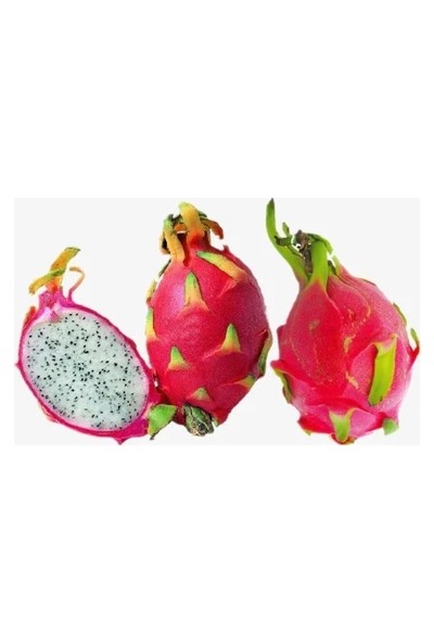 Tropikalaiye Ejder Meyvesi Pitahaya İçi Beyaz 1 Adet