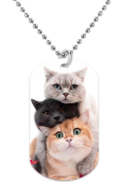 Sevimli Kediler Baskılı Gümüş Zincirli Künye/kolye TYT1789