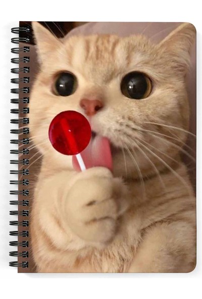 Astak Kedi Baskılı Ahşap Kapaklı Defter 15X20 cm DFT3329 Astak Kedi Baskılı Ahşap Kapaklı Defter 15X20 cm DFT3329
