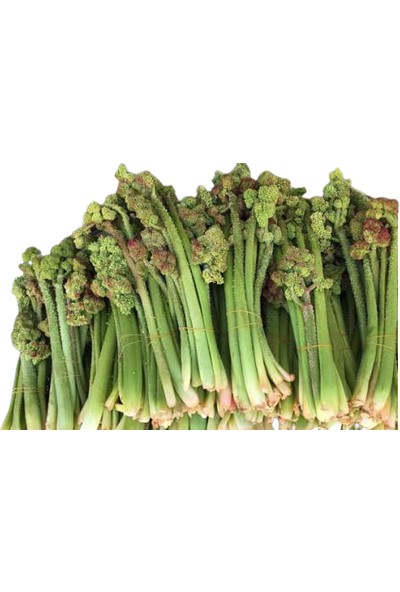Erzincan Yöresel Işkın Otu 1 kg Erzincan Yöresel Işkın Otu 1 kg