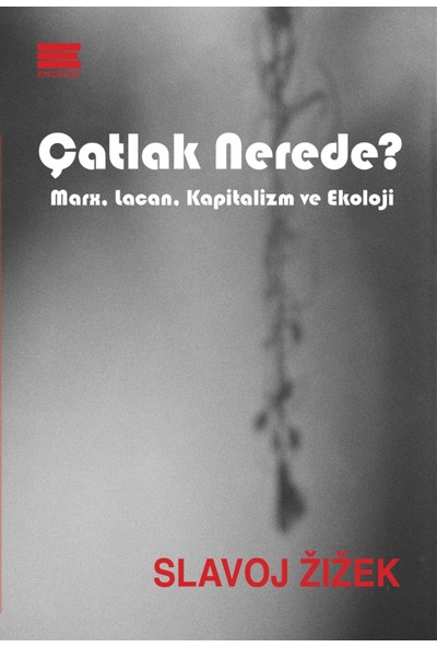 Çatlak Nerede? - Slavoj Zizek Çatlak Nerede? - Slavoj Zizek