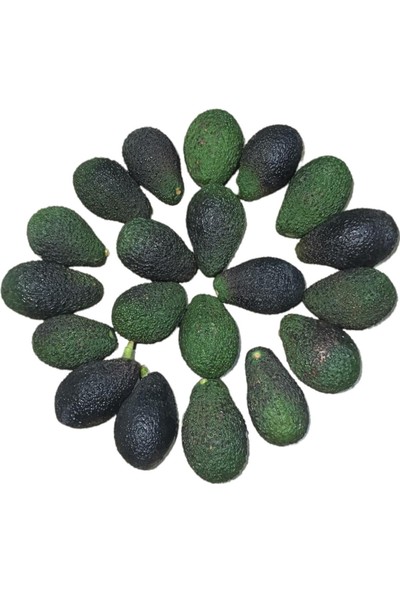 Alanya Özlem Avoakdo Has Cinsi Alanya Yerli Yeni Mahsül