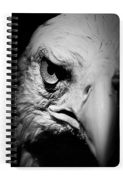 Astak Şahin Baskılı Ahşap Kapaklı Defter 15X20 cm DFT3054