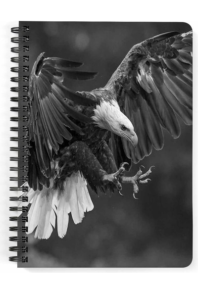 Astak Şahin Baskılı Ahşap Kapaklı Defter 15X20 cm DFT3050