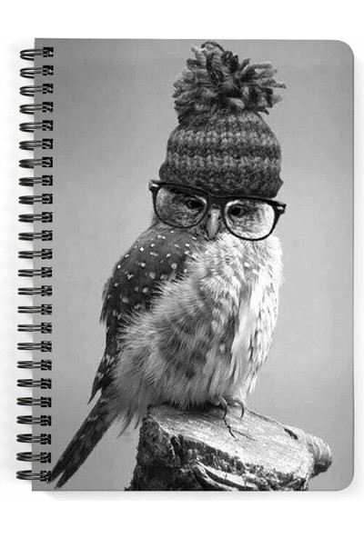 Astak Baykuş Baskılı Ahşap Kapaklı Defter 15X20 cm DFT2970