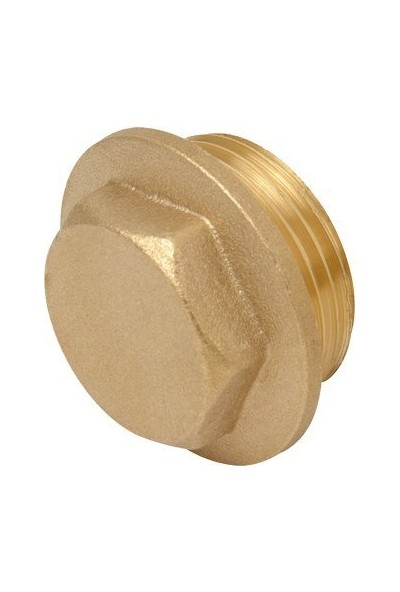 Kt Sarı Körtapa 1''