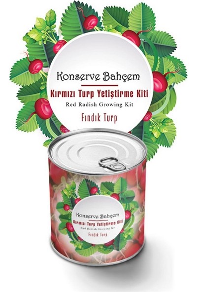 Go İthalat Kumraldede Evde Konservede Fındık Turp Yetiştirme Kiti Go İthalat Kumraldede Evde Konservede Fındık Turp Yetiştirme Kiti