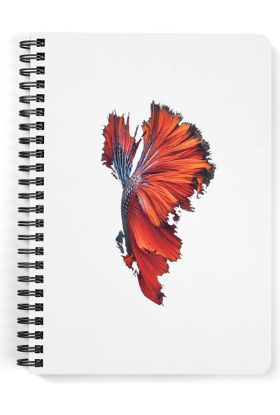 Astak Renk Cümbüşü Baskılı Ahşap Kapaklı Defter 15X20 cm DFT317