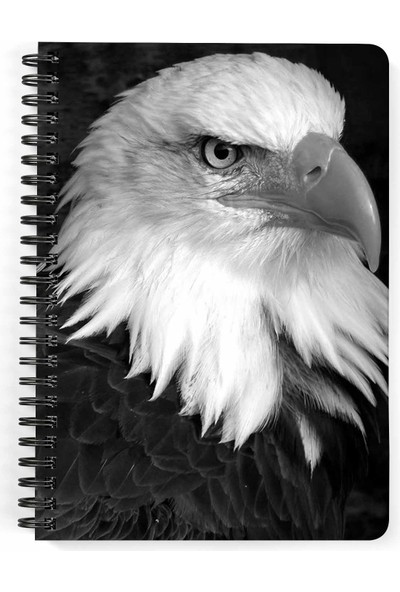 Şahin Baskılı Ahşap Kapaklı Defter 15X20 cm DFT3055