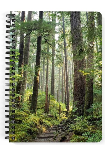 Astak Alacakaranlık Baskılı Ahşap Kapaklı Defter 15X20 cm DFT3448