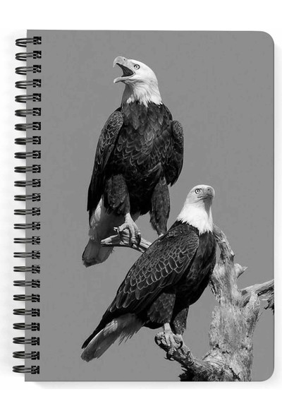 Astak Şahin Baskılı Ahşap Kapaklı Defter 15X20 cm DFT3058