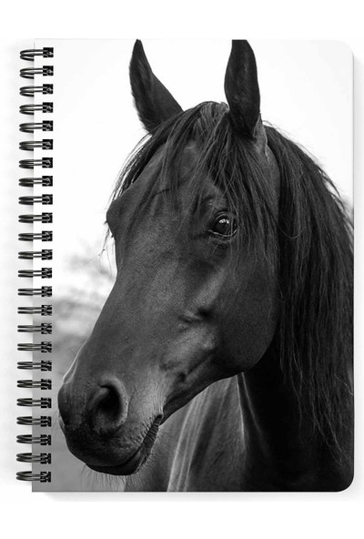 Astak At Baskılı Ahşap Kapaklı Defter 15X20 cm DFT3356
