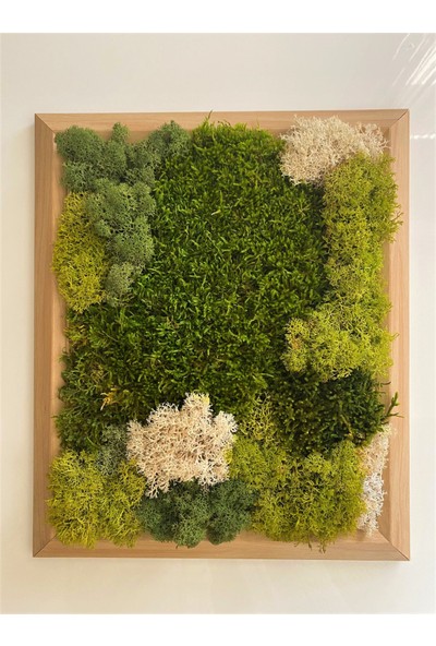 Ocean Moss Şoklanmış Yosun Tasarım Tablo