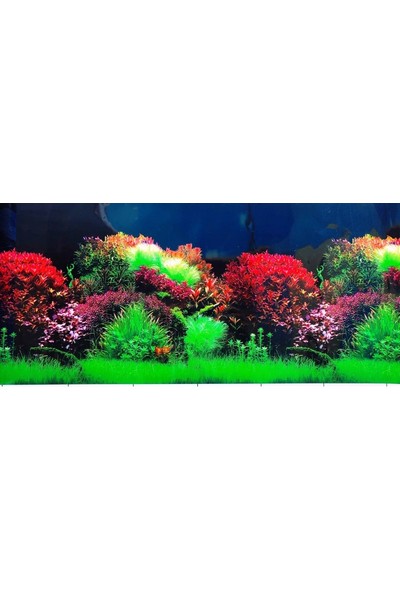 Canlipetshop Arka Fon Kırmızı Cazibe 50 cm Uzunluk Yükseklik 30 cm 8007 Canlipetshop Arka Fon Kırmızı Cazibe 50 cm Uzunluk Yükseklik 30 cm 8007