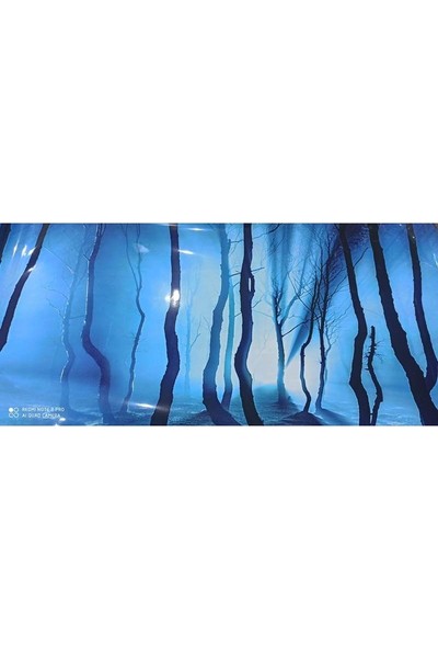 Canlipetshop Arka Fon Umut Ormanı Uzunluk 50 cm Yükseklik 30 cm No 8019 Canlipetshop Arka Fon Umut Ormanı Uzunluk 50 cm Yükseklik 30 cm No 8019