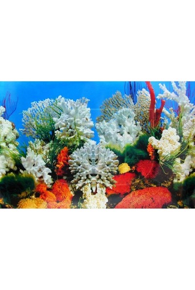 Canlipetshop Arka Fon Mercan Görünümlü 50 cm Uzunluk Yükseklik 30 cm 9029 Canlipetshop Arka Fon Mercan Görünümlü 50 cm Uzunluk Yükseklik 30 cm 9029