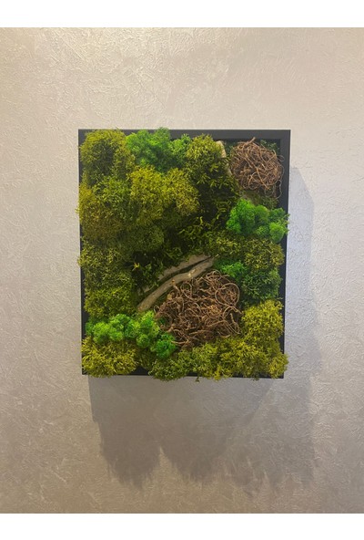 Ocean Moss Doğal Yosun Tasarım Tablo Ocean Moss Doğal Yosun Tasarım Tablo