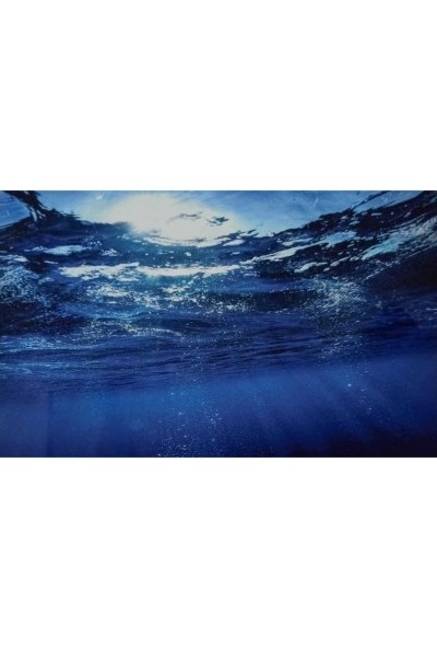 Canlipetshop Arka Fon Mavi Su 50 cm Uzunluk Yükseklik 30 cm 8008 Canlipetshop Arka Fon Mavi Su 50 cm Uzunluk Yükseklik 30 cm 8008