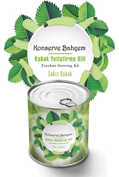 Kumraldede Evde Konservede Sakız Kabak Yetiştirme Kiti