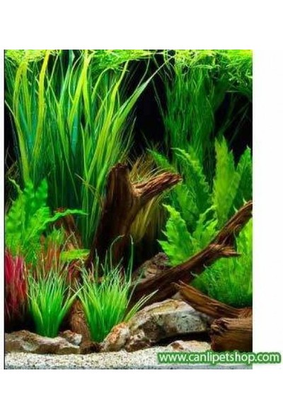 Canlı Petshop Arka Fon (Yeşil Bahçe) 50 cm Uzunluk Yükseklik 45 cm 8965