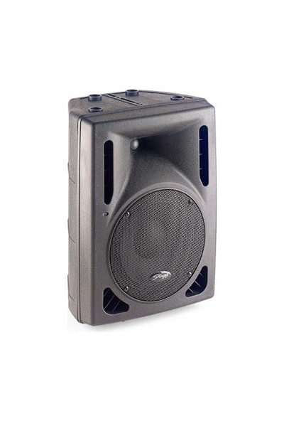 Stagg SMS15 300 Watt Pasif Kabin Stagg SMS15 300 Watt Pasif Kabin