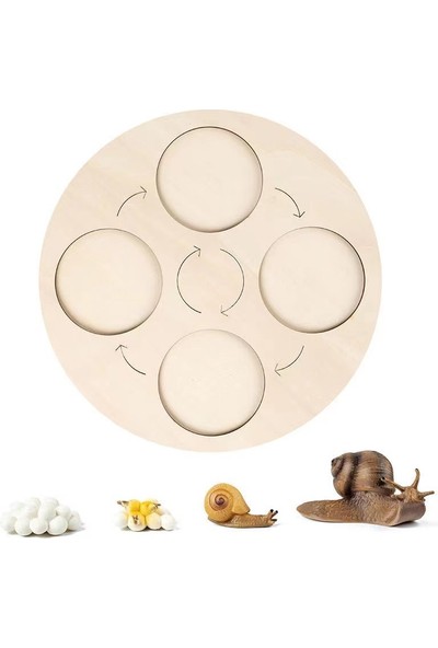 Shun Montessori Simülasyon Yaşam Döngüsü Büyüme Eğitici Oyuncak Hayvan Plastik Modeli (Yurt Dışından) Shun Montessori Simülasyon Yaşam Döngüsü Büyüme Eğitici Oyuncak Hayvan Plastik Modeli (Yurt Dışından)