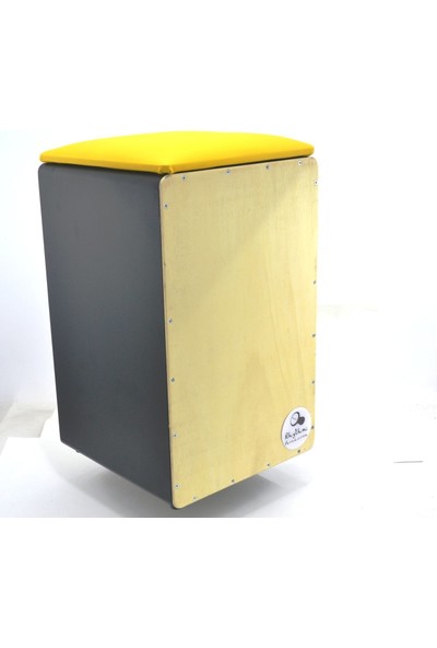 Rhythm Rtcast Ahşap Desen Minderli Cajon Rhythm Rtcast Ahşap Desen Minderli Cajon