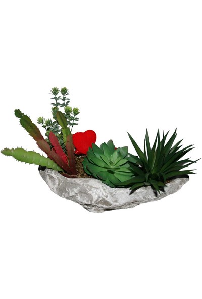 İndigo Kaya Saksıda Sukulent Aranjmanı