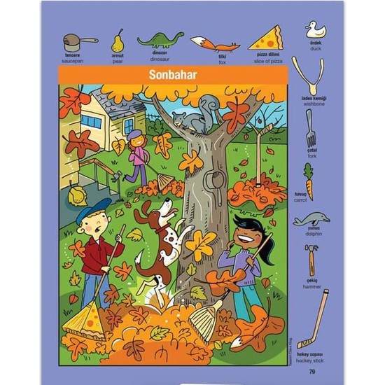 Sticker Hidden Pictures - Doğa Puzzle Kitabı ve Fiyatı