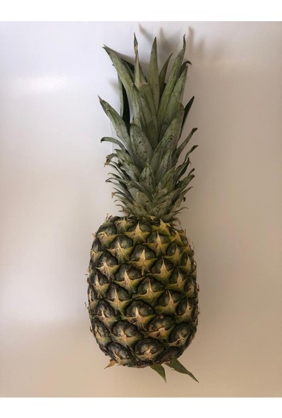 E-Pazarım Ananas 1 Adet E-Pazarım Ananas 1 Adet
