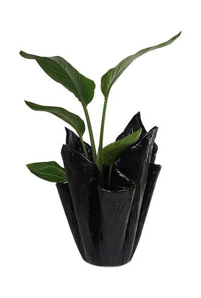 Eng Decoration Cornish Siyah Saksı