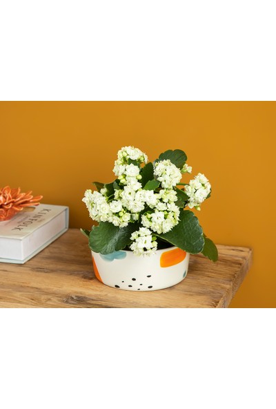 English Home Colourful Saksı 16,5X16,5X7 cm Multicolor English Home Colourful Saksı 16,5X16,5X7 cm Multicolor