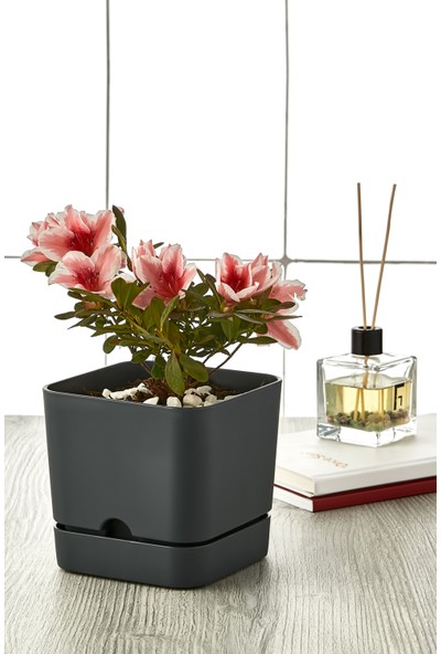 Grimor Life 3 Adet Büyük Kare Çiçek Saksısı 2.3 Lt. Grimor Life 3 Adet Büyük Kare Çiçek Saksısı 2.3 Lt.