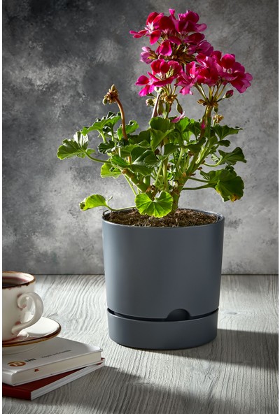 Grimor Life 3 Adet Yuvarlak Kendinden Tabaklı Çiçek Saksısı 1,8 Litre