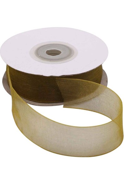 Organze Tül Kurdele 20 mm | 174