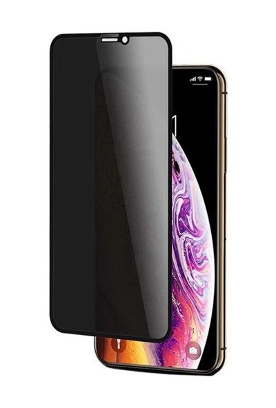 HS Apple iPhone x Tam Kaplayan 5d Hayalet Privacy Cam