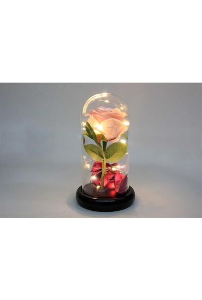 Fanus Çiçek 19/10CM Cam Fanus Hediyelik LED Işıklı