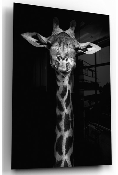 SCS Zürafa Dekoratif Cam Tablo , Duvar Dekorasyon