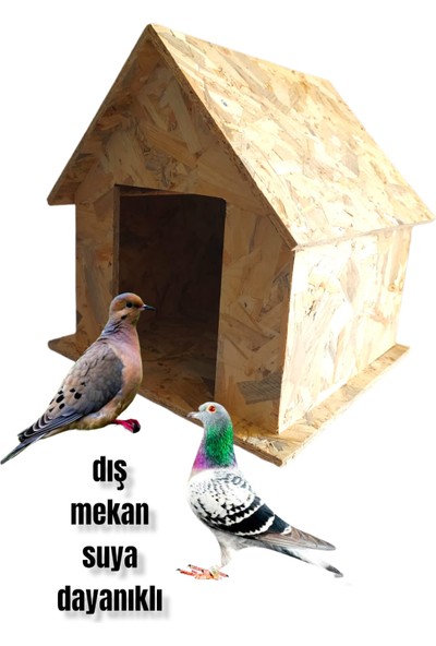Ncy Home Ahşap Kumru ve Güvercin Yuvası Dış Mekan Suya Dayanıklı Ncy Home Ahşap Kumru ve Güvercin Yuvası Dış Mekan Suya Dayanıklı
