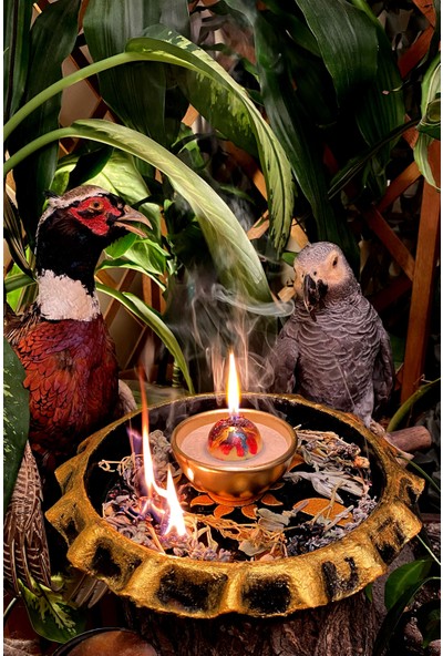 Fantastik Sanat Atölyesi Tuna Güzelyurt Imzalı Astroloji Serisi Ay Döngüsü Ritüel Kasesi Dekoratif Tabak Fantastik Sanat Atölyesi Tuna Güzelyurt Imzalı Astroloji Serisi Ay Döngüsü Ritüel Kasesi Dekoratif Tabak