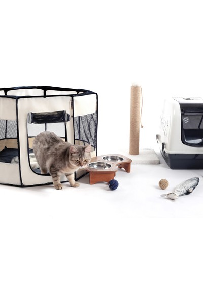 Pawingo Kedi Oyun Evi